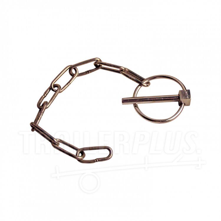 Borgpen met ronde clip RVS Ø6mm | Trailerplus.nl
